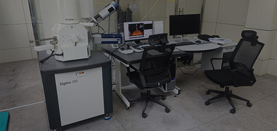 WEEYH Bearing - WEEYH Equipment